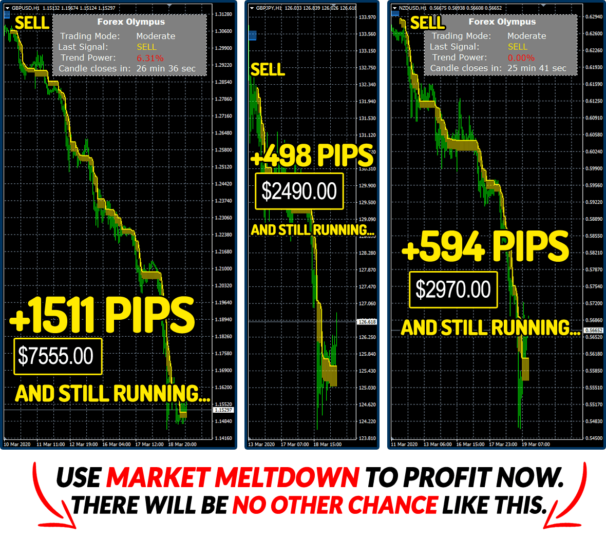 Forex Olympus indicator Download, Karl Dittmann New Forex Software - 2026